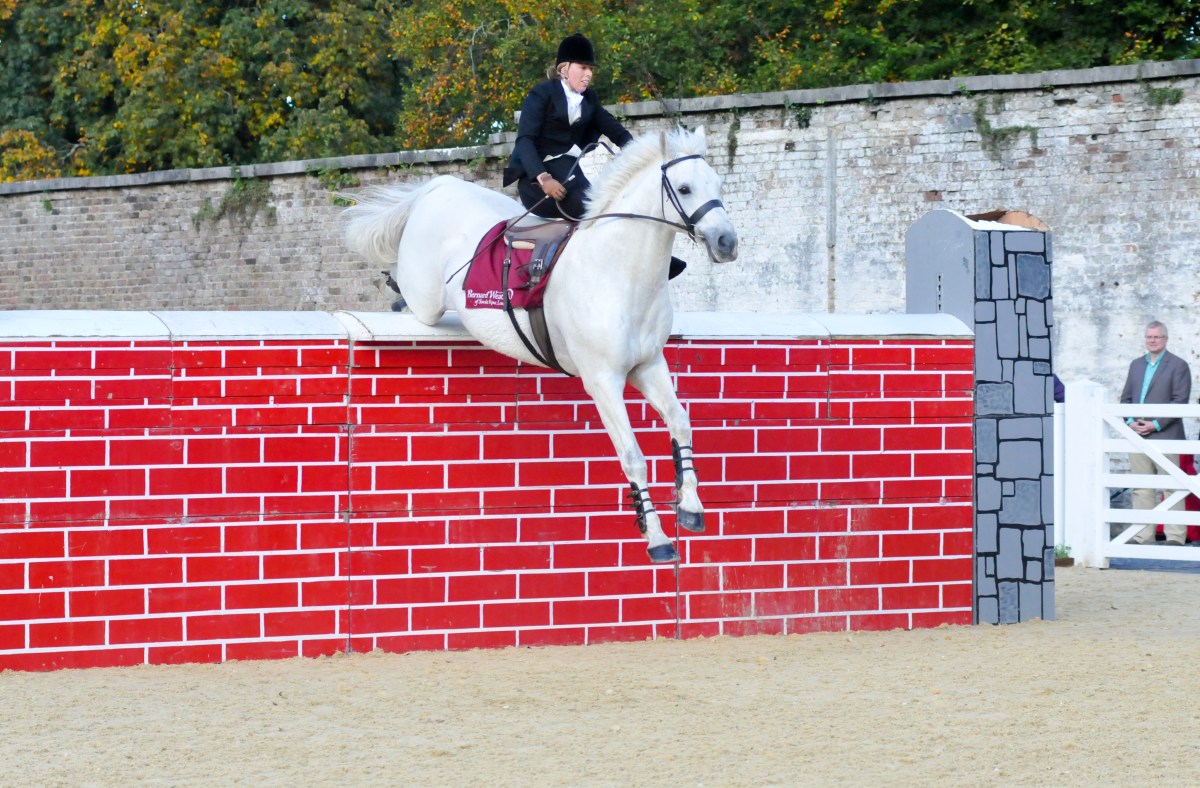 Susan Oakes, una vida a la amazona – Woman O'War