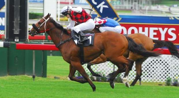 Los 1.000 dólares mejor invertidos de la historia, la leyenda de ...