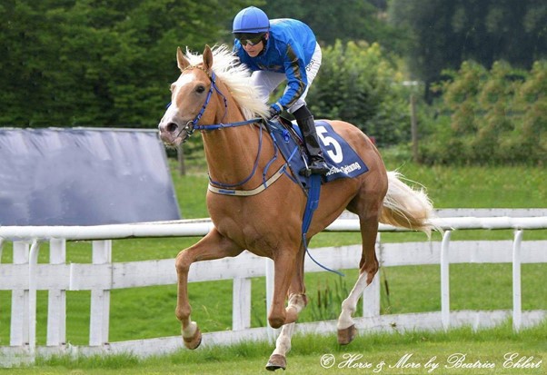 Caballos Palomino Animales Amigos PSI Palominos, El Tesoro Dorado De