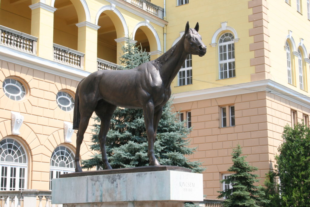 “Kincsem”, la yegua con cincuenta y cuatro victorias – Woman O'War